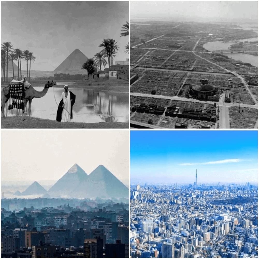 The Remarkable Transformation of History Global Wonders